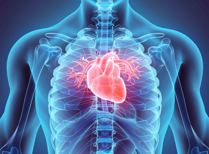 Infarctus : comprendre, reconnaître et diagnostiquer - Fondation de l ...